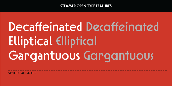 Steamer Font | Webfont & Desktop | MyFonts