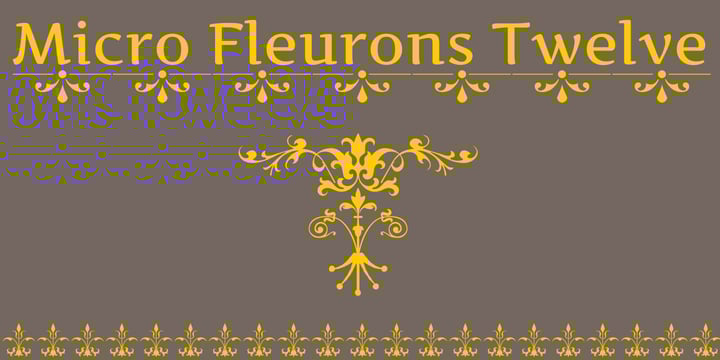 Micro Fleurons Font | Webfont & Desktop | MyFonts