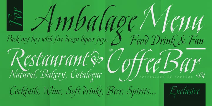 Cal Cursive Modern Font | Webfont & Desktop | MyFonts