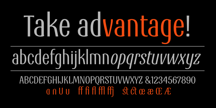 Vantage Font | Webfont & Desktop | MyFonts