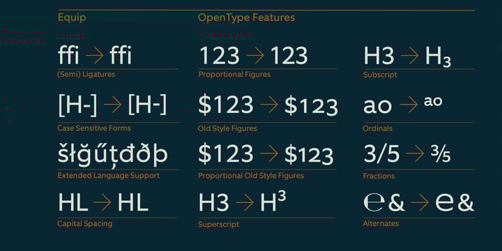 Equip Font | Webfont & Desktop | MyFonts
