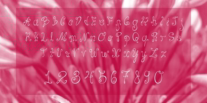 Joy Font | Webfont & Desktop | MyFonts