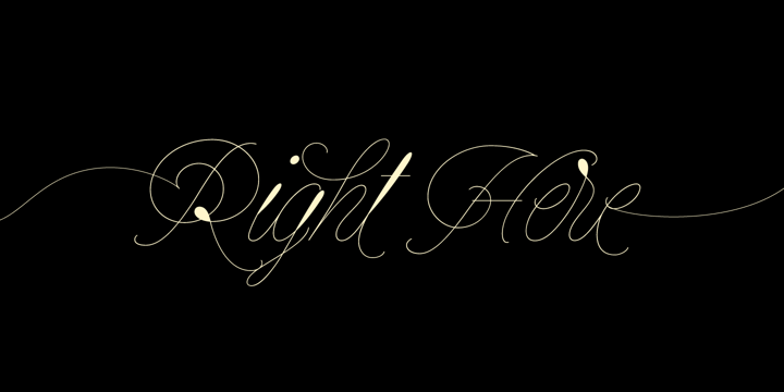 String Font | Webfont & Desktop | MyFonts