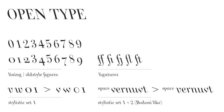 JHA Bodoni Ritalic Font | Webfont & Desktop | MyFonts