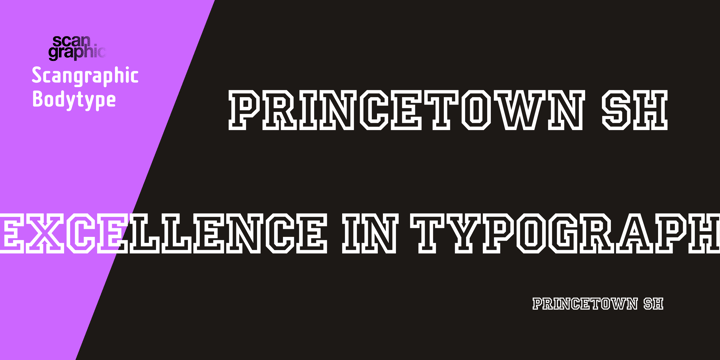 Princetown SH Font | Webfont & Desktop | MyFonts