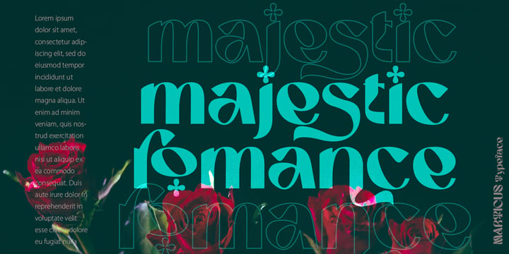 Marticus Font | Webfont & Desktop | MyFonts