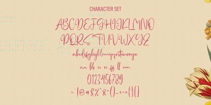 Hellostars Font | Webfont & Desktop | MyFonts