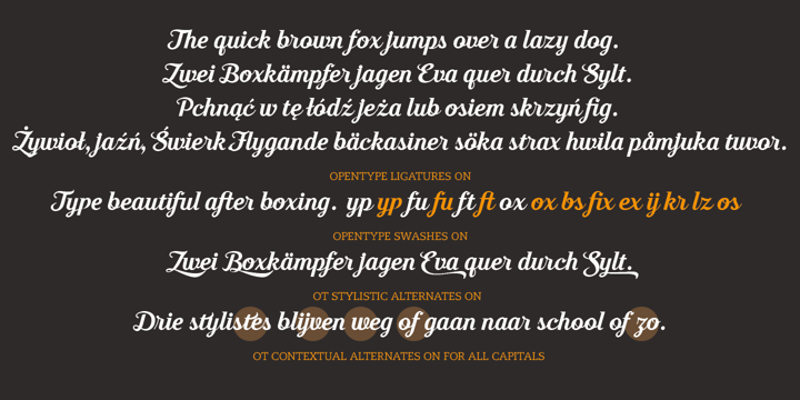 Moonface Script Font | Webfont & Desktop | MyFonts