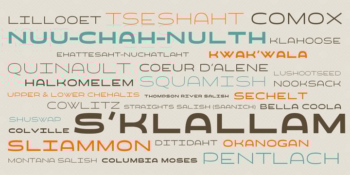 Salish Font | Webfont & Desktop | MyFonts