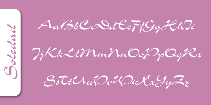 Soledad Pro Font | Webfont & Desktop | MyFonts