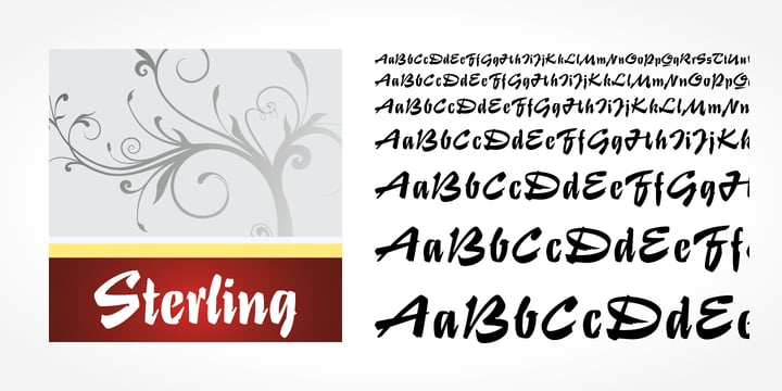 Sterling Pro Font | Webfont & Desktop | MyFonts
