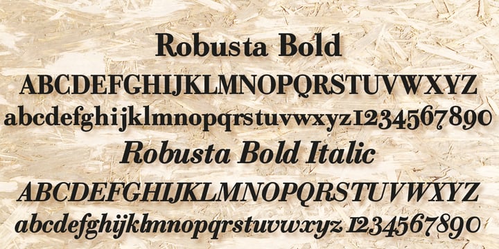 Robusta Font | Webfont & Desktop | MyFonts