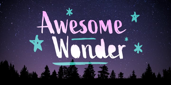 Active Font | Webfont & Desktop | MyFonts