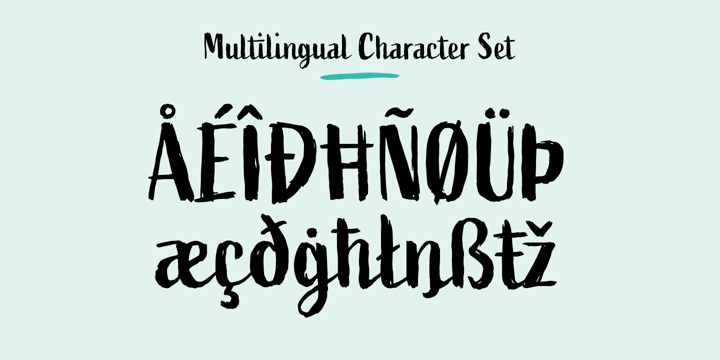Active Font | Webfont & Desktop | MyFonts