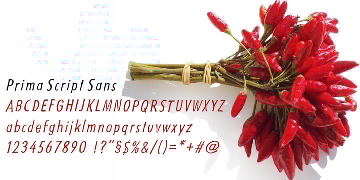 Prima Script Font | Webfont & Desktop | MyFonts
