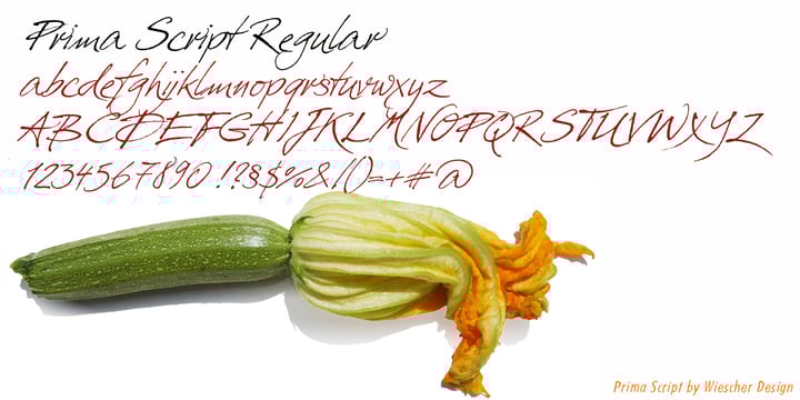 Prima Script Font | Webfont & Desktop | MyFonts