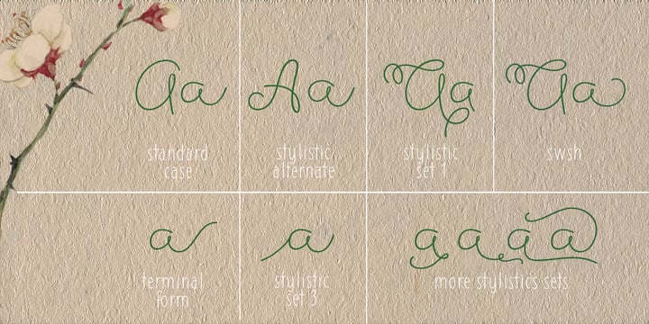 Mikha Font | Webfont & Desktop | MyFonts