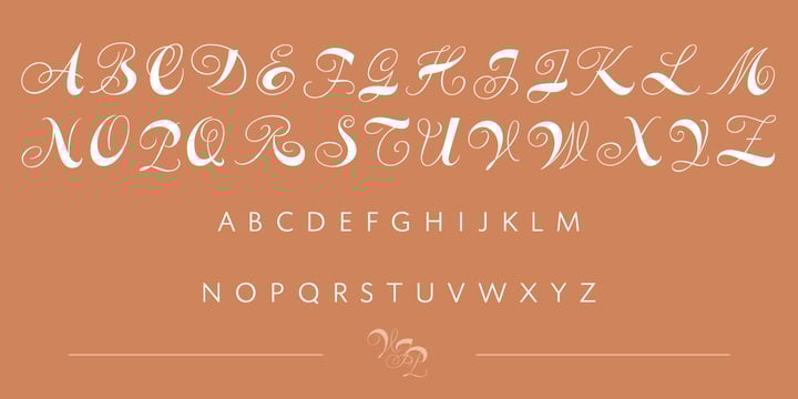 VIP Font | Webfont & Desktop | MyFonts