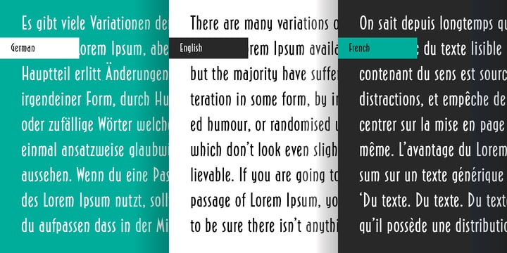 Newport Land Font | Webfont & Desktop | MyFonts