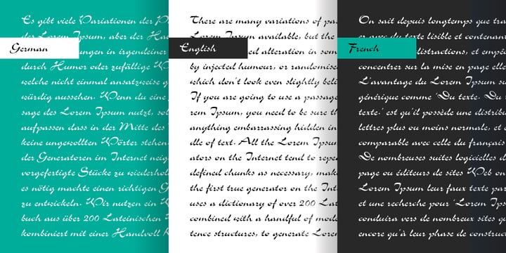 Slogan Font | Webfont & Desktop | MyFonts