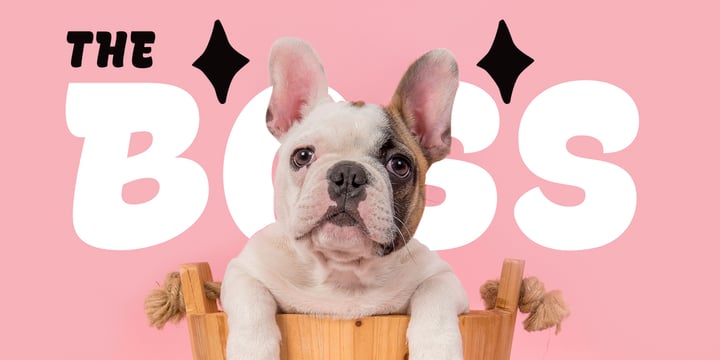 La Pica Font | Webfont & Desktop | MyFonts