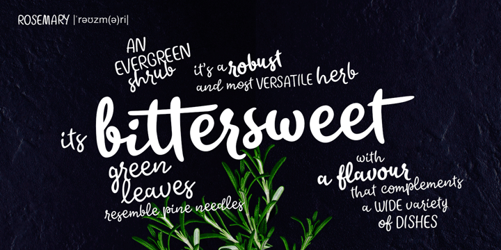 Takeaway Font | Webfont & Desktop | MyFonts