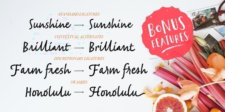 Saltbush Rough Font | Webfont & Desktop | MyFonts