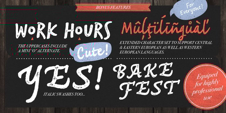 Saltbush Rough Font | Webfont & Desktop | MyFonts