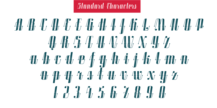 Roadster Script Font | Webfont & Desktop | MyFonts