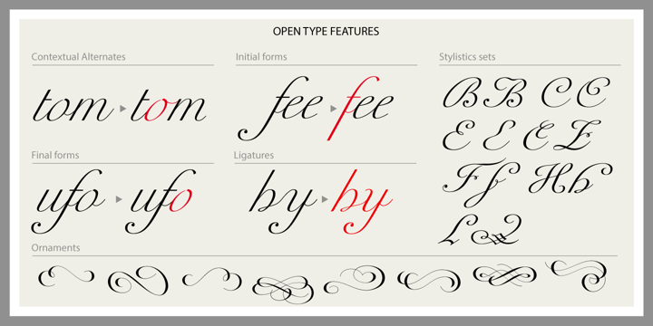 Werdet Script Font | Webfont & Desktop | MyFonts