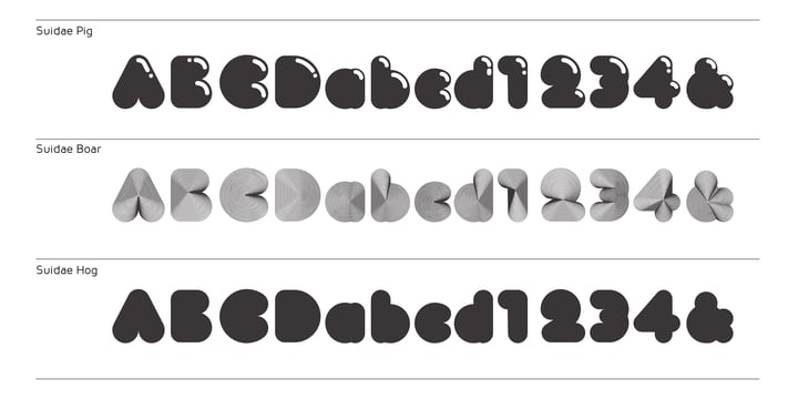 Suidae Font | Webfont & Desktop | MyFonts