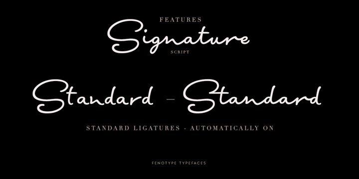 Signature Script Font | Webfont & Desktop | MyFonts