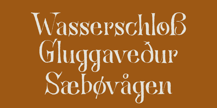 Bronwen Font | Webfont & Desktop | MyFonts