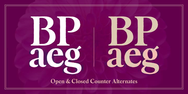 Botany Font | Webfont & Desktop | MyFonts