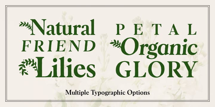 Botany Font | Webfont & Desktop | MyFonts