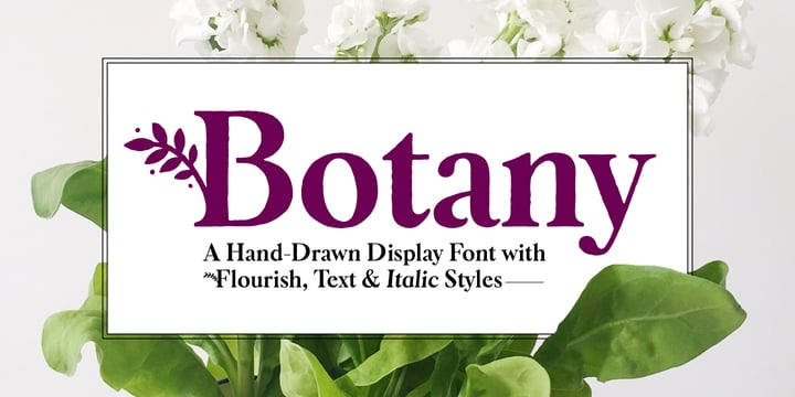 Botany Font | Webfont & Desktop | MyFonts