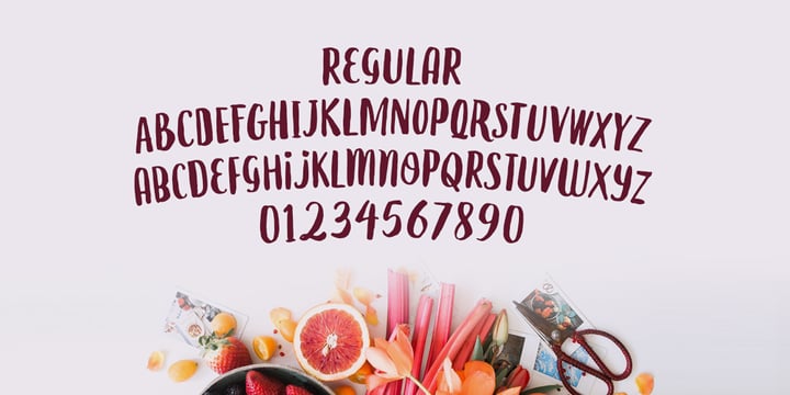 Le Gourmet Font | Webfont & Desktop | MyFonts