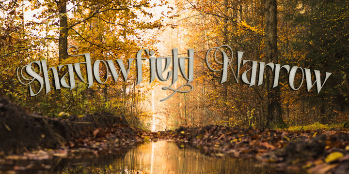 Shadowfield Font | Webfont & Desktop | MyFonts