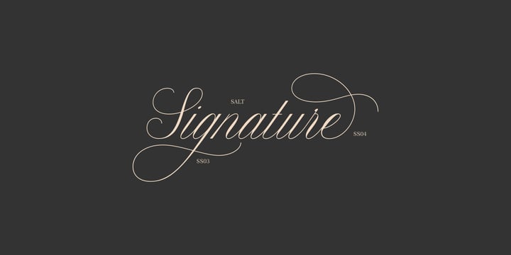 Claudya Script Font | Webfont & Desktop | MyFonts