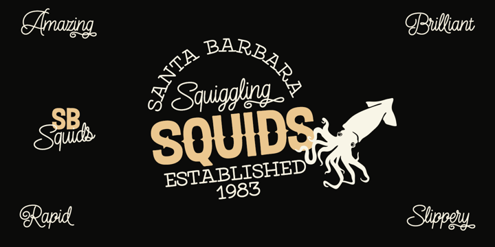 Elixir Font | Webfont & Desktop | MyFonts