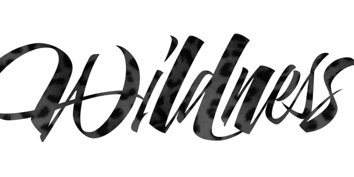 Pantera Font | Webfont & Desktop | MyFonts