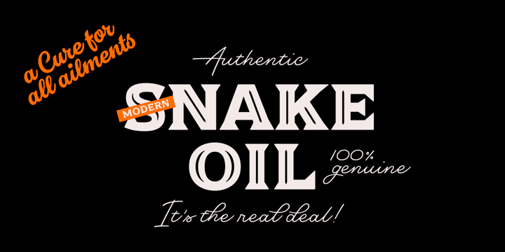 Dallas Print Shop Font | Webfont & Desktop | MyFonts