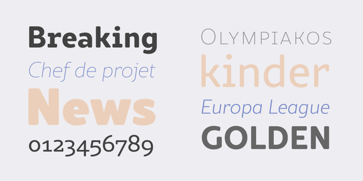 Marlon Pro Font | Webfont & Desktop | MyFonts