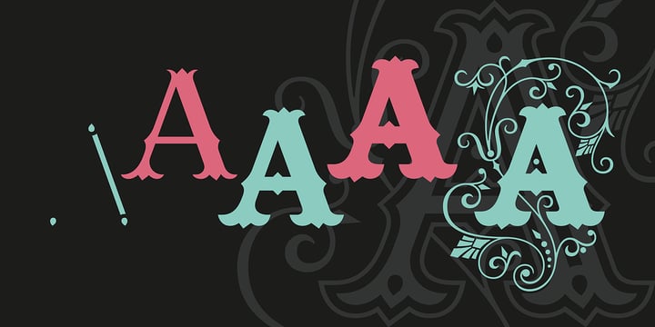 Ana Font | Webfont & Desktop | MyFonts