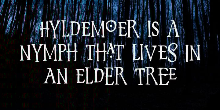 Hyldemoer Font | Webfont & Desktop | MyFonts