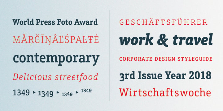 Schnebel Slab Pro Font | Webfont & Desktop | MyFonts