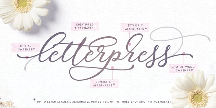 Palomino Clean Font | Webfont & Desktop | MyFonts