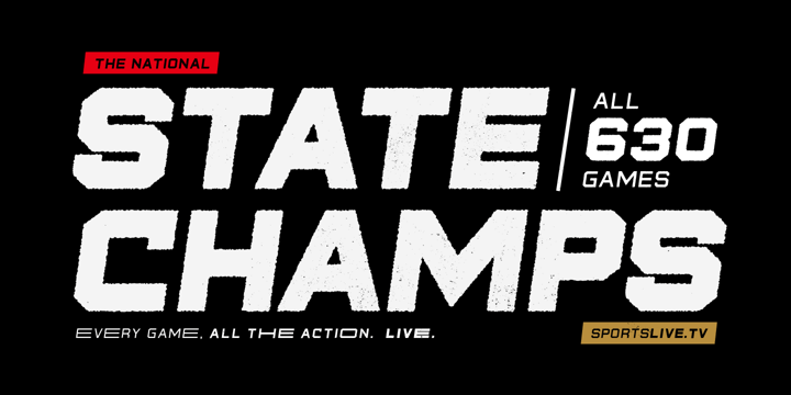 State Wide Font | Webfont & Desktop | MyFonts