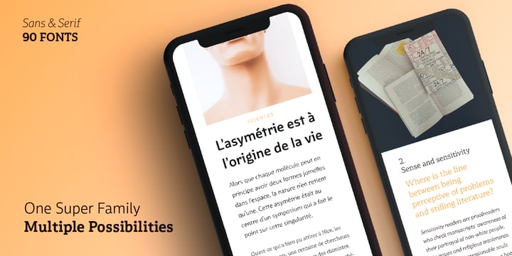 Multiple Font | Webfont & Desktop | MyFonts