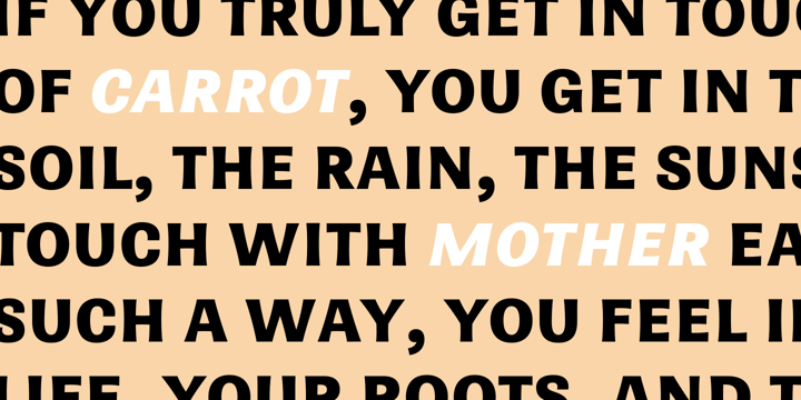 Quida Font | Webfont & Desktop | MyFonts
